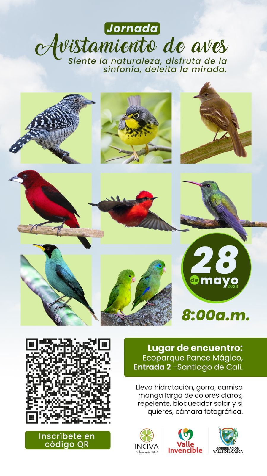Avistamiento de Aves en el Ecoparque Pance Mágico